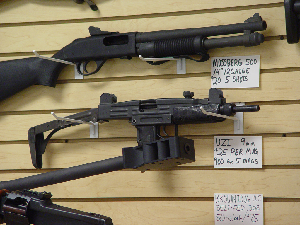 A Posse of Guns for Hire - SAIIA