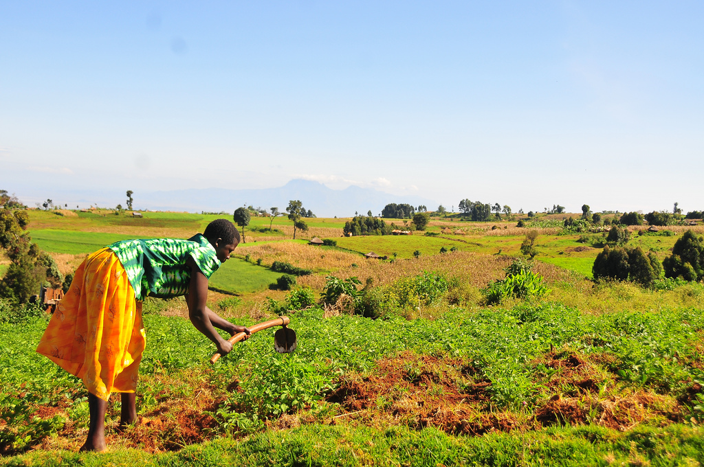 New Challenges, New opportunities: African Agriculture in the 21st ...