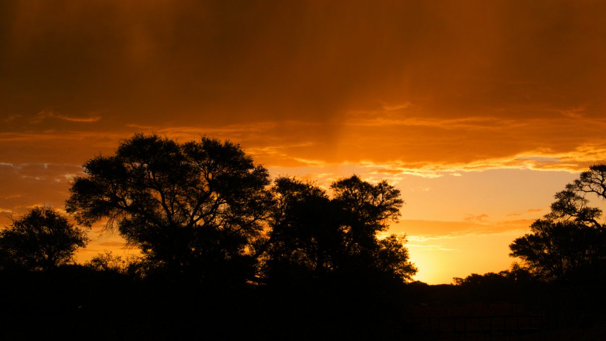 Community Forests in Namibia: Ensuring Sustainable Local-level Forest ...