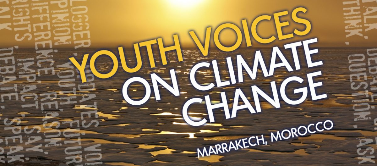 Climate change updates from COP22 - SAIIA