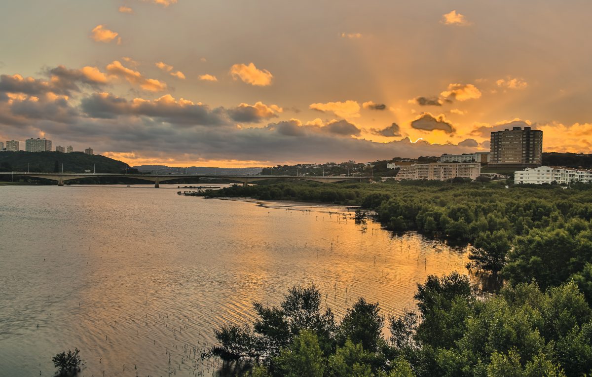 Ecosystem-based adaptation in South African coastal cities - SAIIA