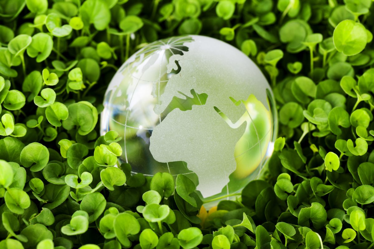 Job opportunity: Climate Change Researcher - SAIIA