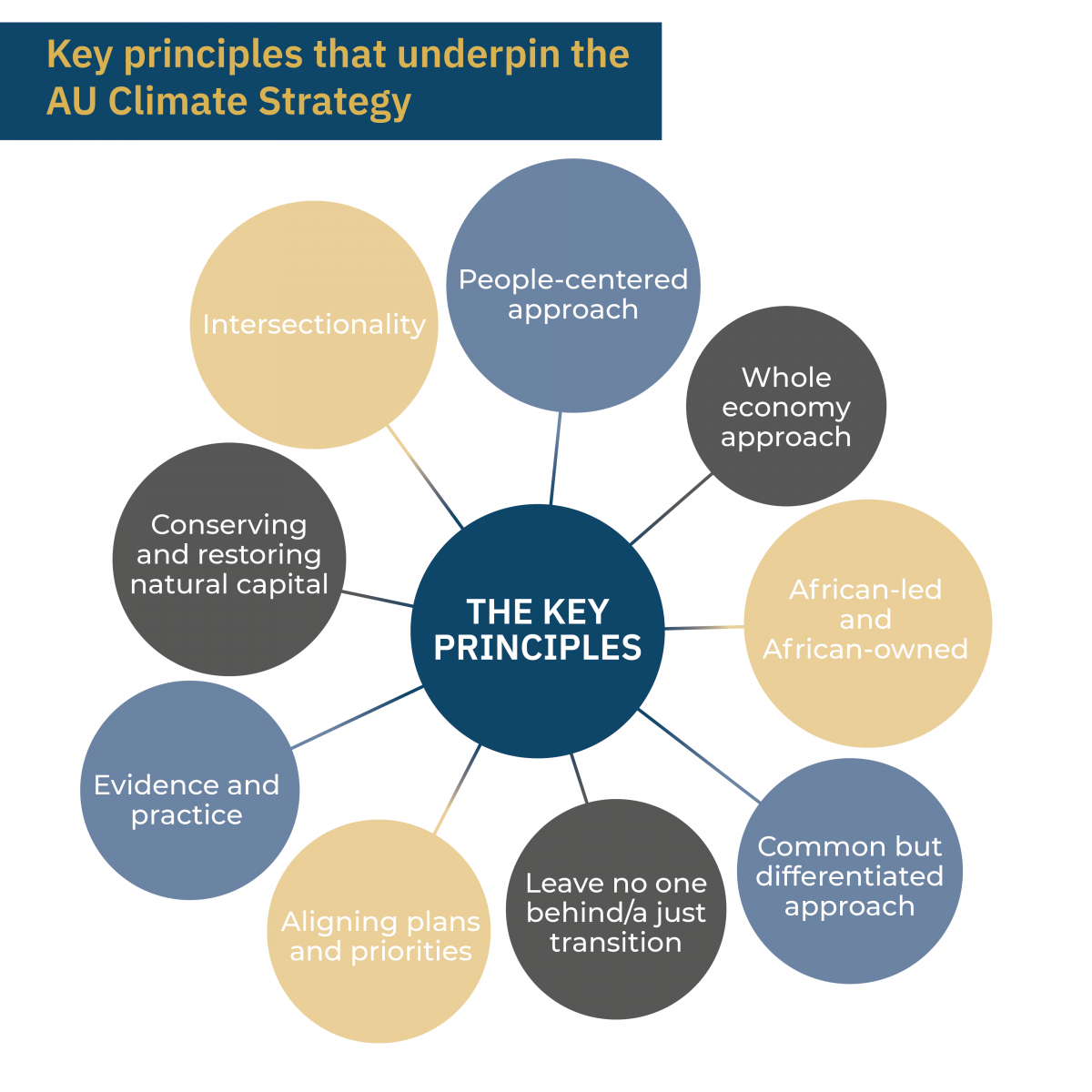 Africa’s Common Climate Response and Action Plan - SAIIA
